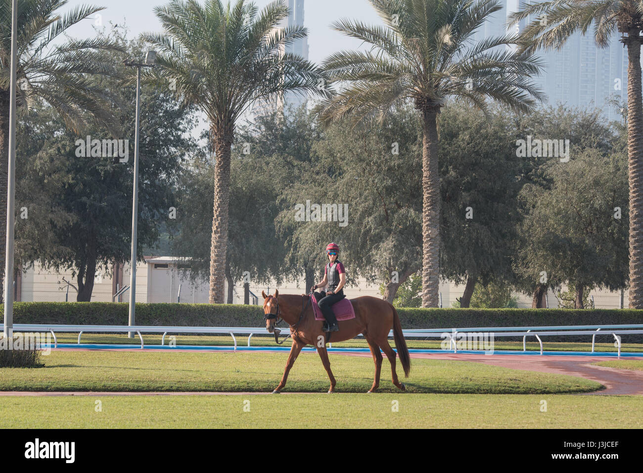 Zabeel racing stables Banque de photographies et d’images à haute ...