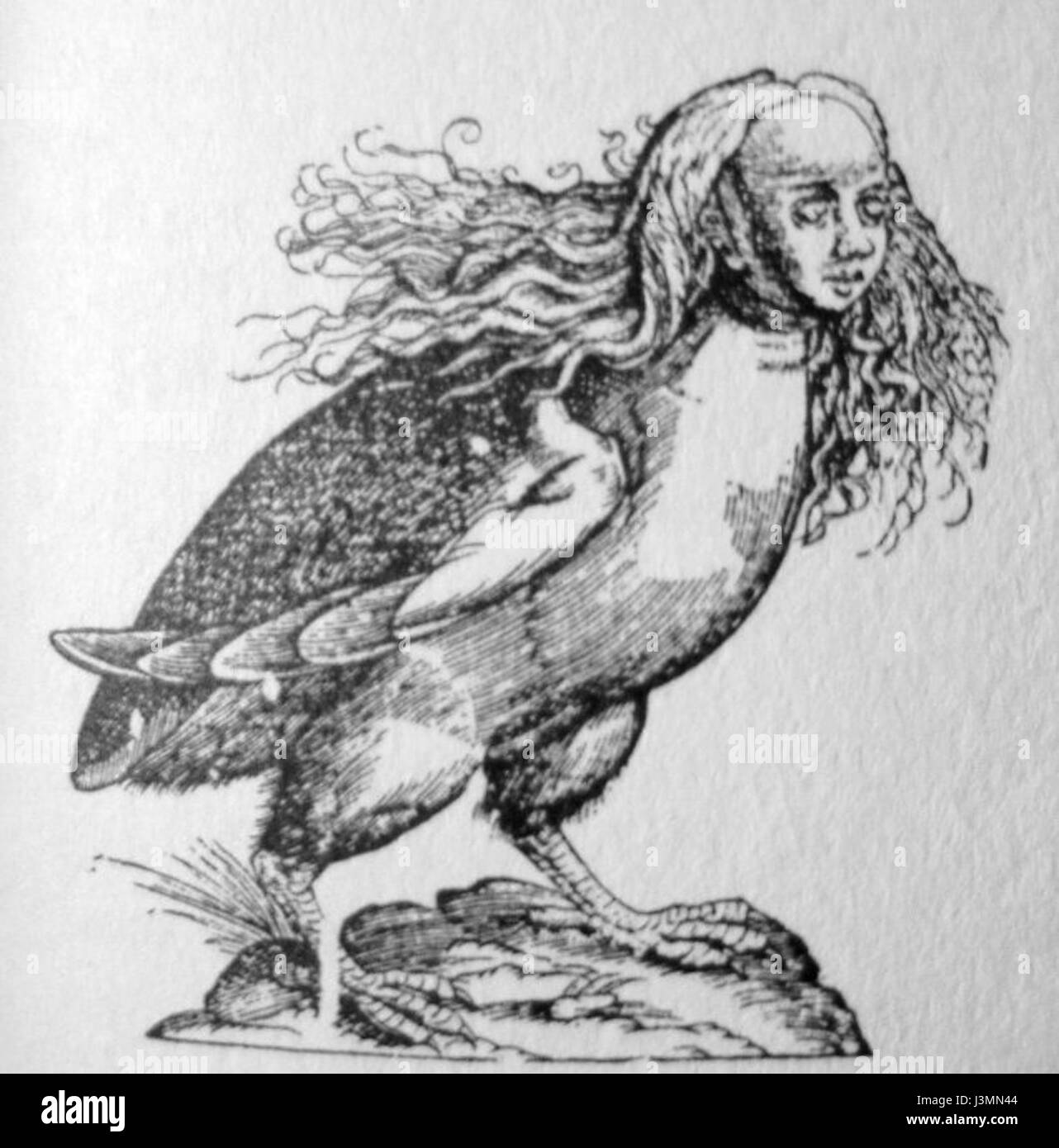 Harpie mythologie grecque Banque de photographies et d’images à haute ...
