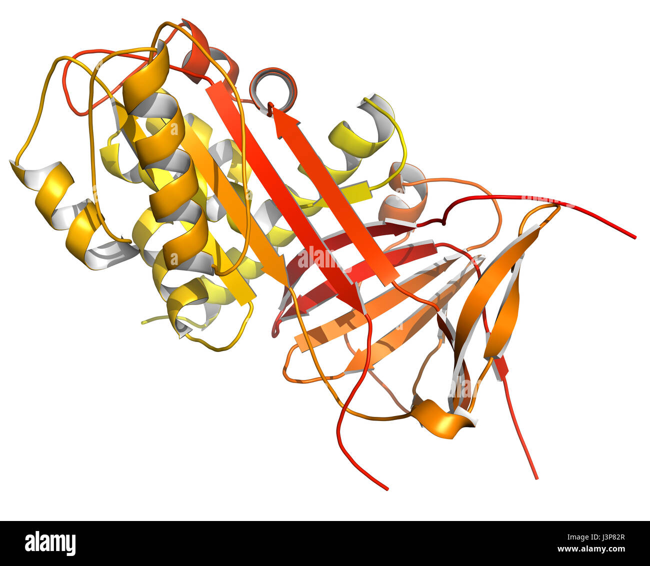 2-alpha-2 antiplasmine (a2-antiplasmine) molécule protéique. Principaux ...