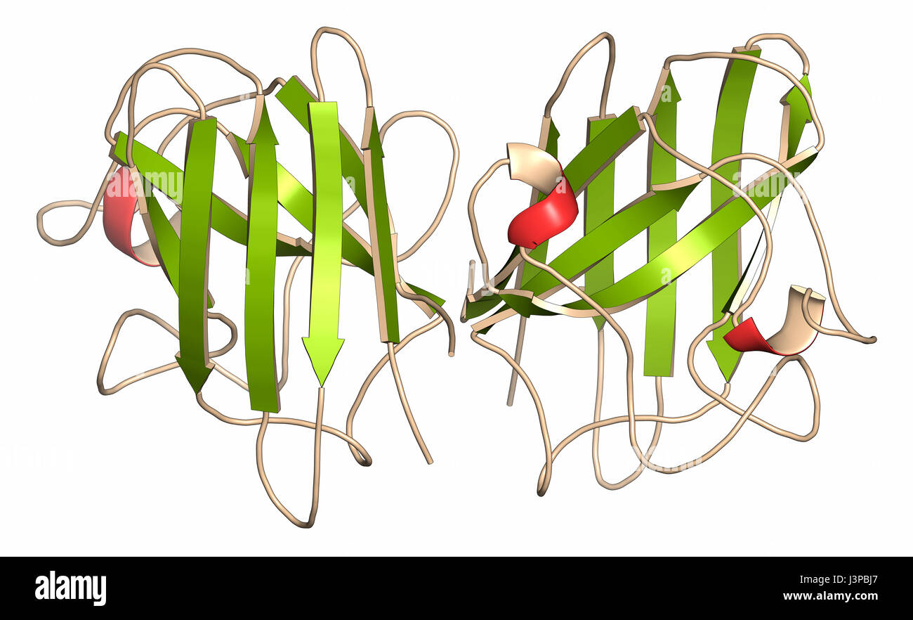 Superoxide free radical molecule Banque de photographies et d’images à ...
