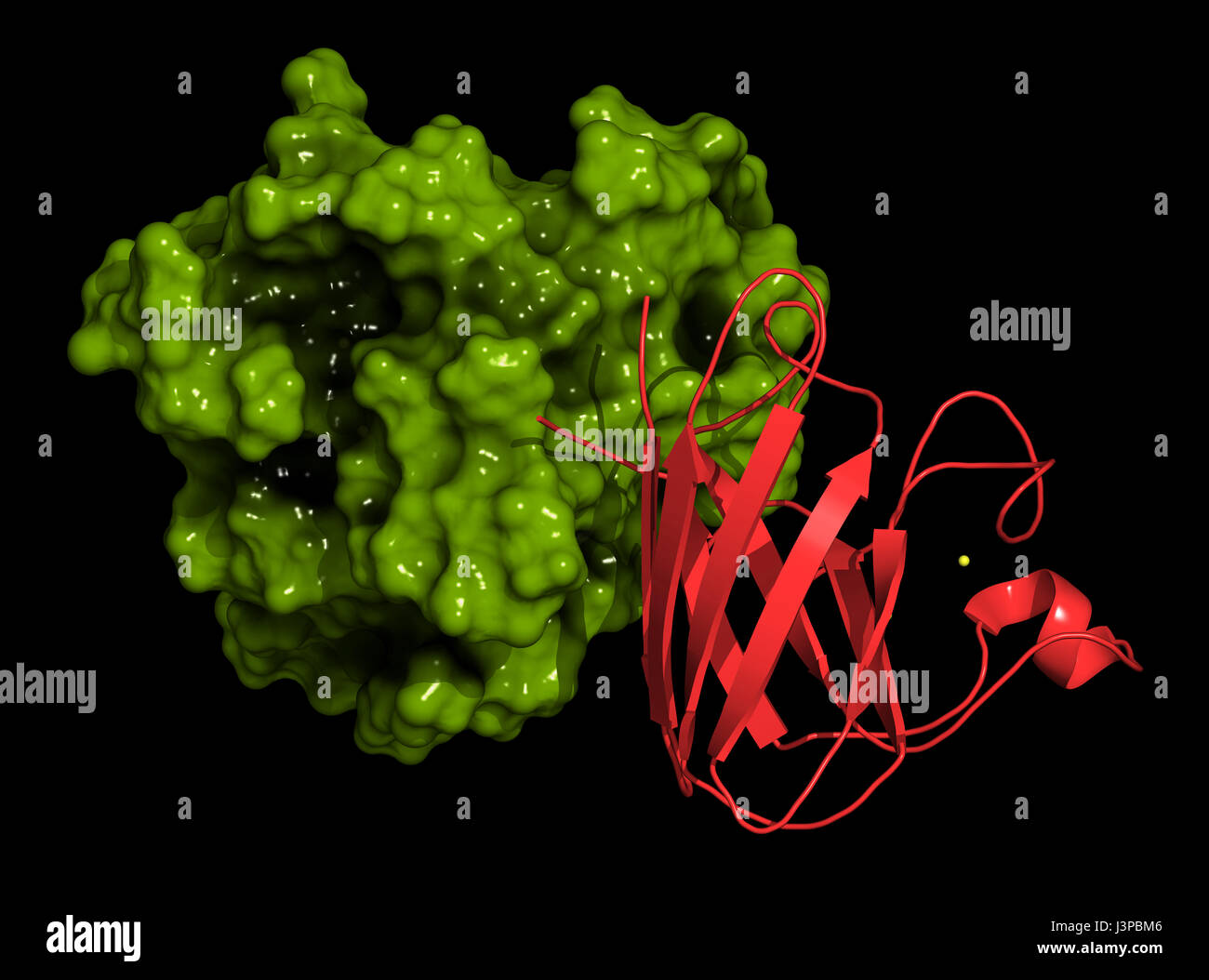 Superoxide free radical molecule Banque de photographies et d’images à ...