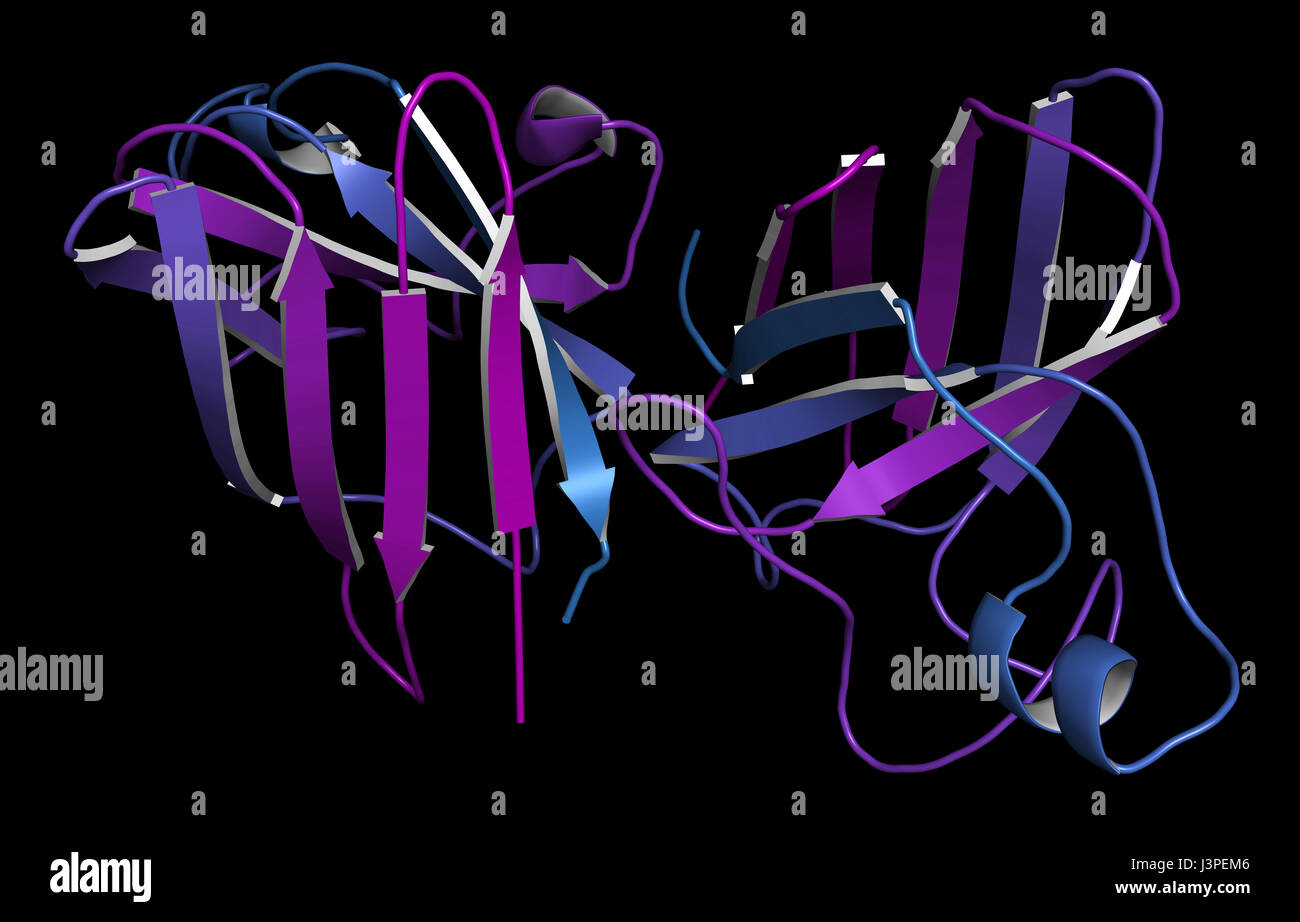 Superoxide dismutase Banque de photographies et d’images à haute ...