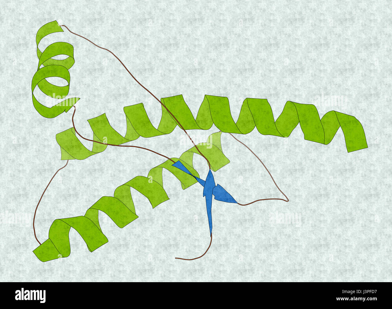 La protéine prion humaine (PRPS), la structure chimique. Dans les ...