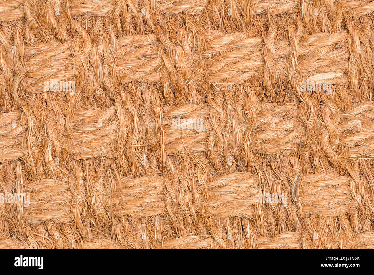 Bamboo texture vector Banque de photographies et d’images à haute ...