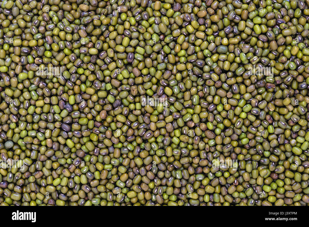 Gramme vert Banque de photographies et d’images à haute résolution - Alamy