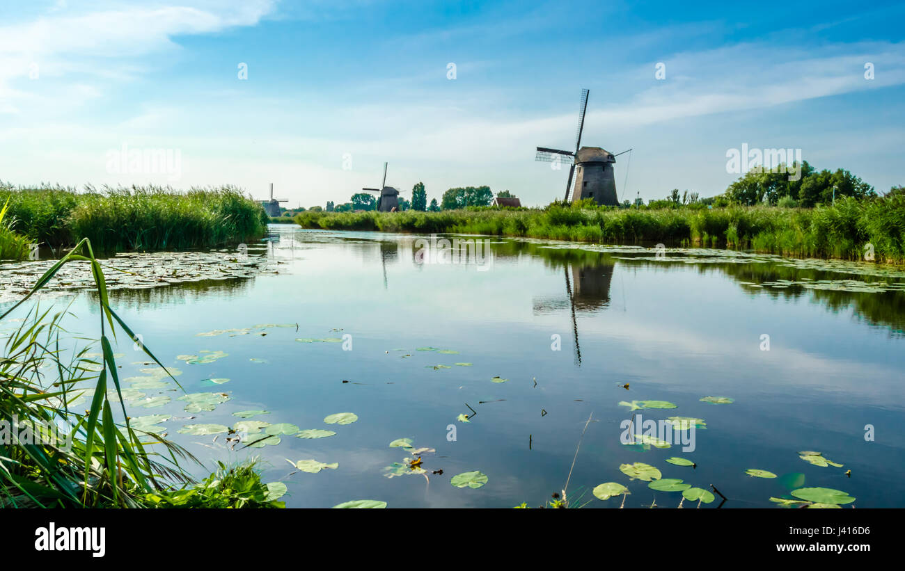 Alkmaar, Pays-Bas - le 25 août 2013 : les moulins à vent hollandais ...