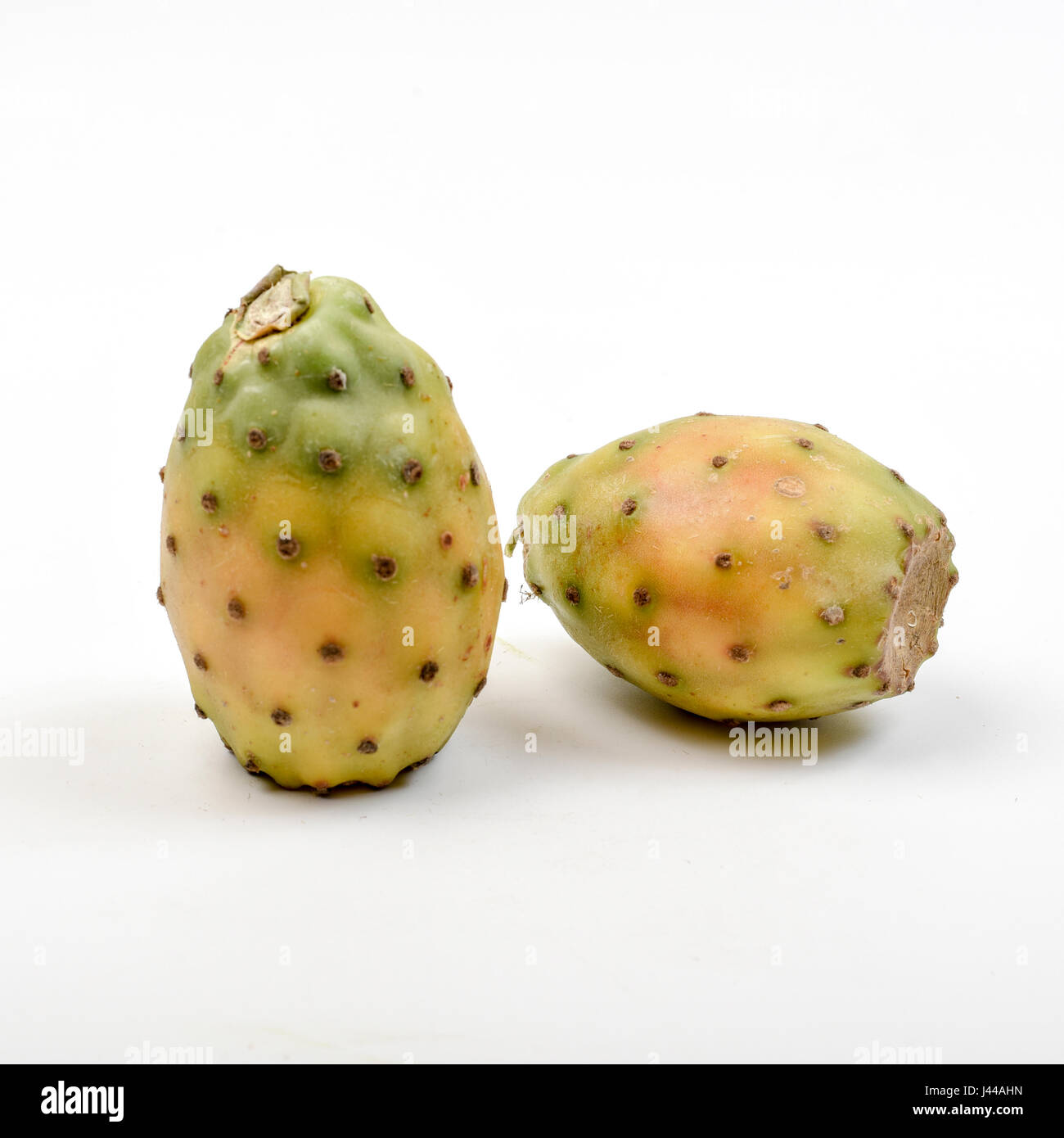 Fruits frais et biologiques de l'Indian fig opuntia (AKA Barbary fig ...