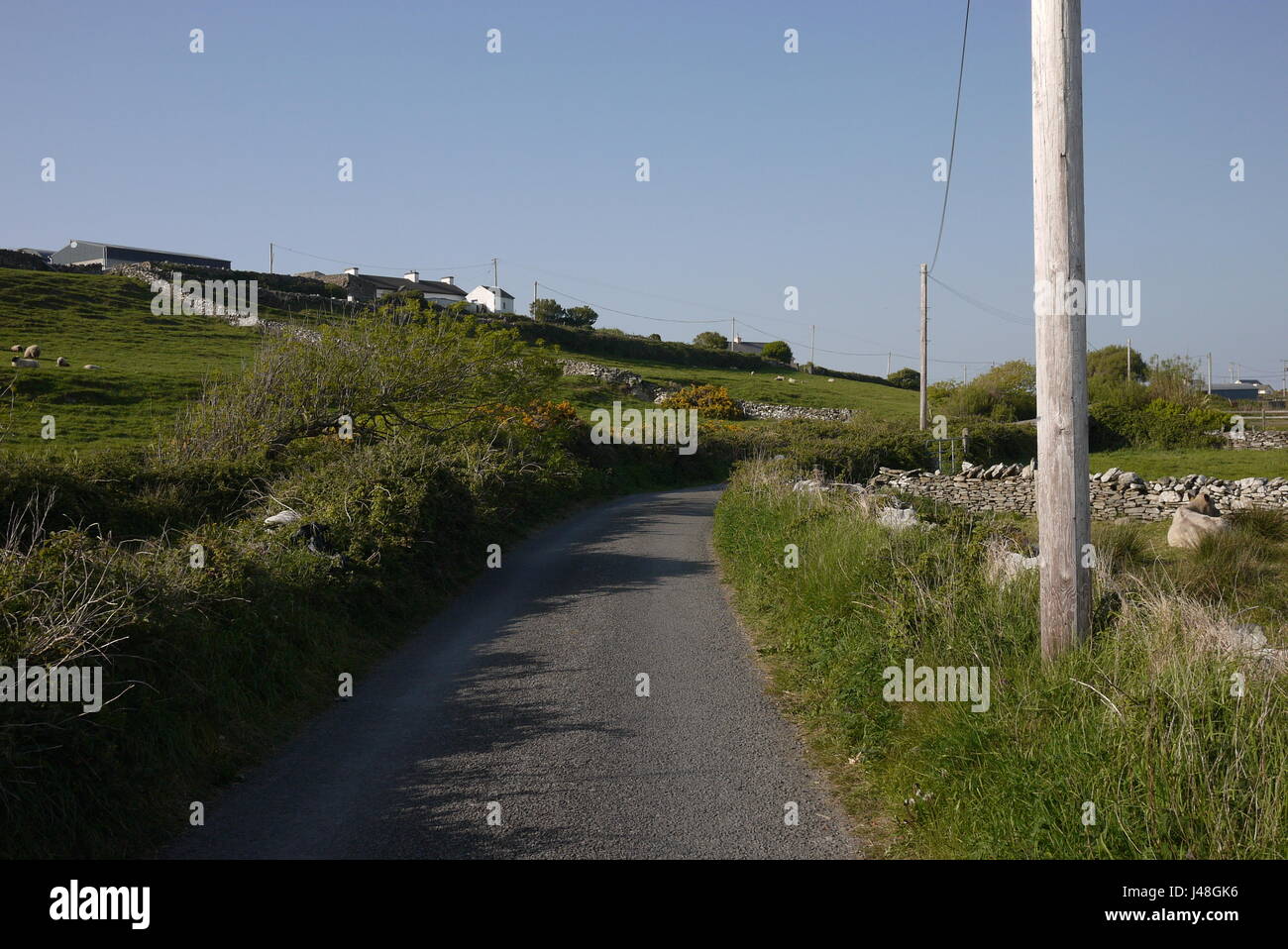 Mur irlandais Banque de photographies et d’images à haute résolution ...