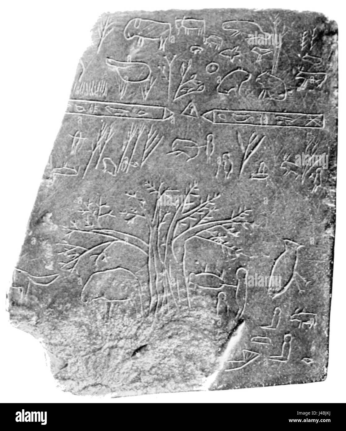 Slate tablet Banque de photographies et d’images à haute résolution - Alamy