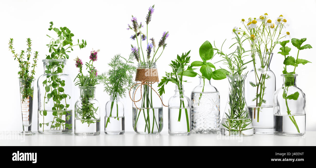 Bouteille d'huile essentielle avec des herbes sur fond blanc Photo Stock - Alamy