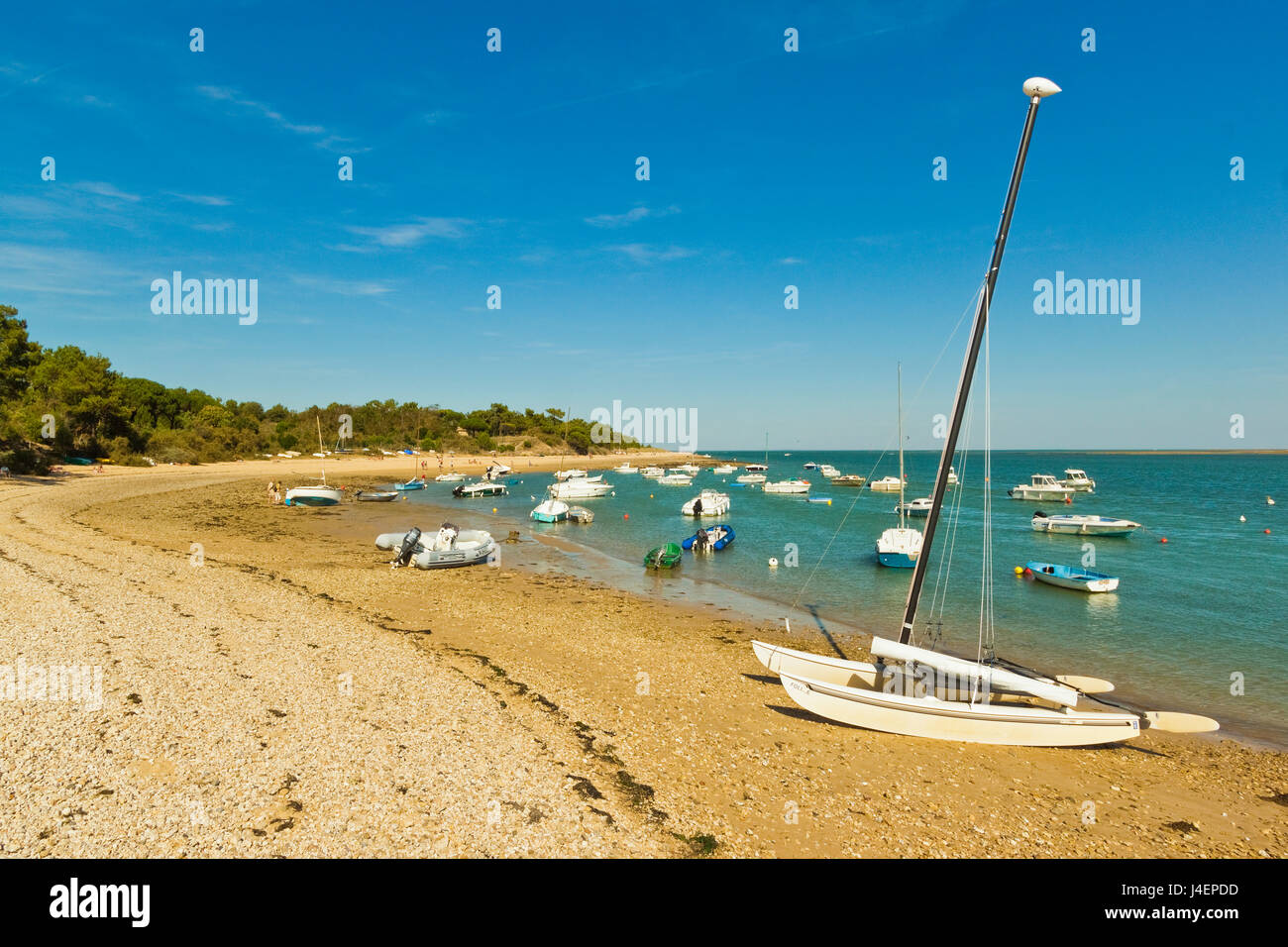La patache Banque de photographies et d’images à haute résolution - Alamy