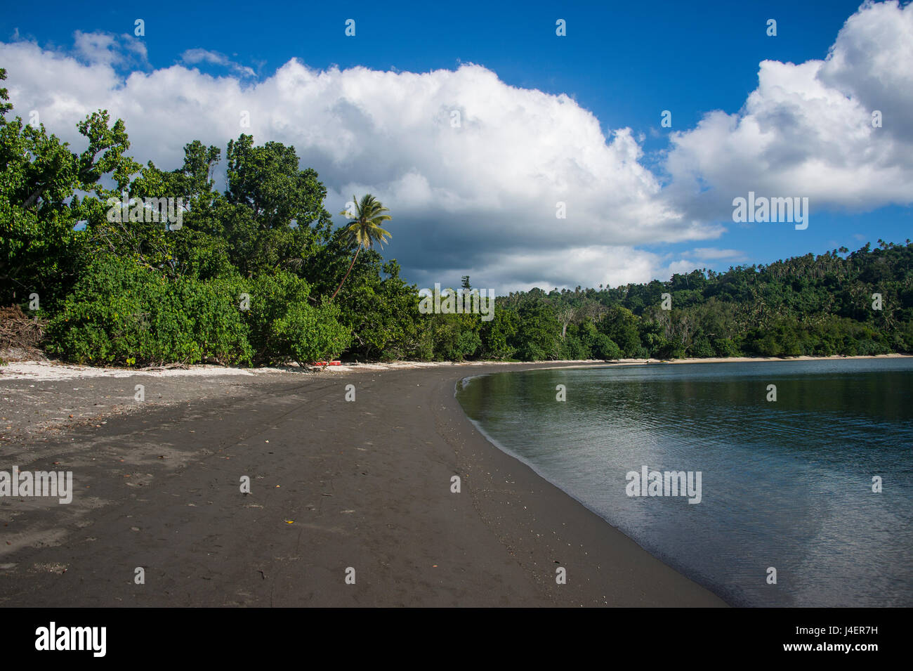 Jolie plage volcanique de sable noir, l'île d'Epi, Shepherd, Vanuatu ...