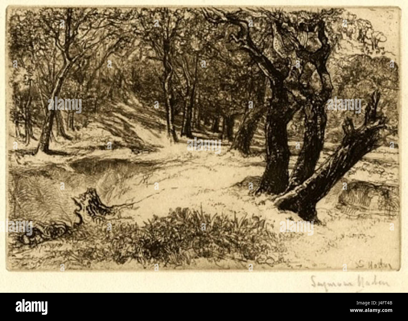 Monsieur francis seymour Banque de photographies et d’images à haute ...