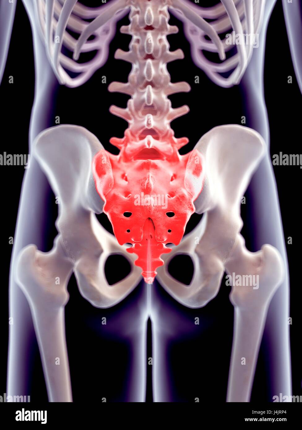 Douleur du sacrum humain Banque de photographies et d’images à haute ...