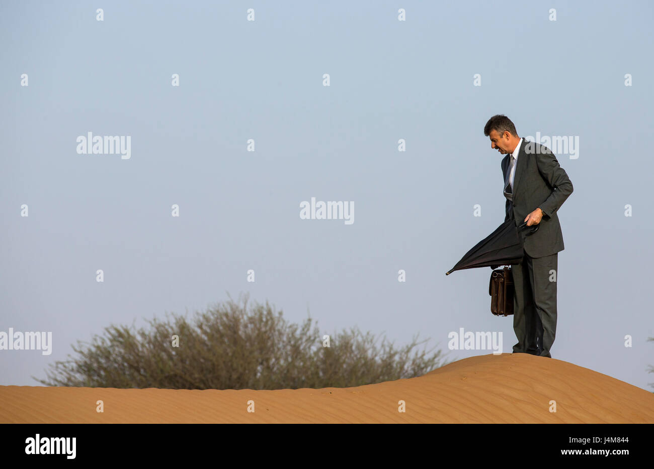 Espion desert Banque de photographies et d’images à haute résolution ...