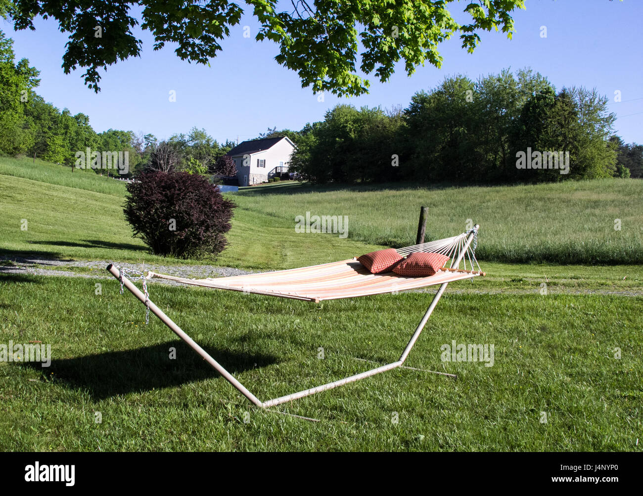 Hamac vert Banque de photographies et d’images à haute résolution - Alamy