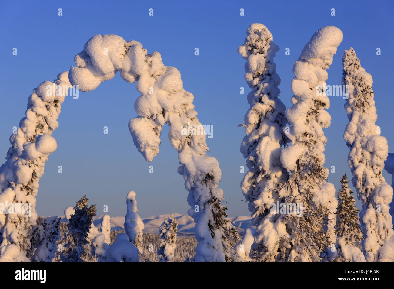 Amérique du Nord, Canada, Territoire du Yukon, Territoire du Yukon ...