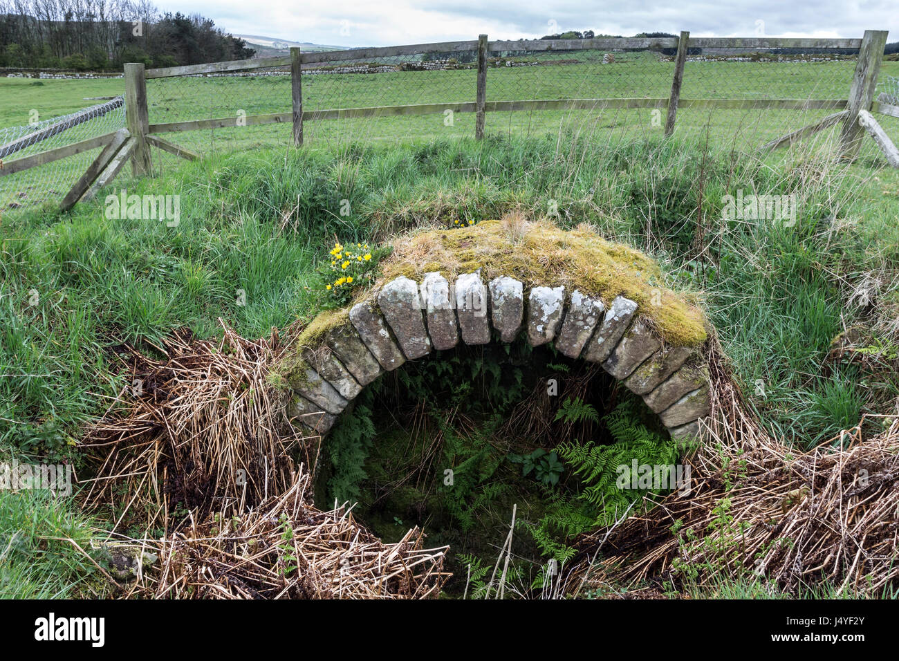 Aesica fort romain Banque de photographies et d’images à haute ...