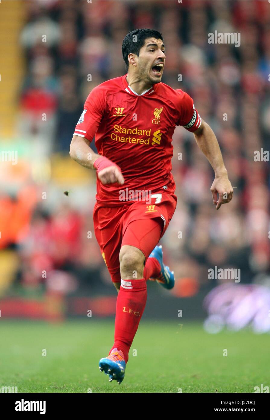 Luis suarez liverpool fc football Banque de photographies et d’images à ...