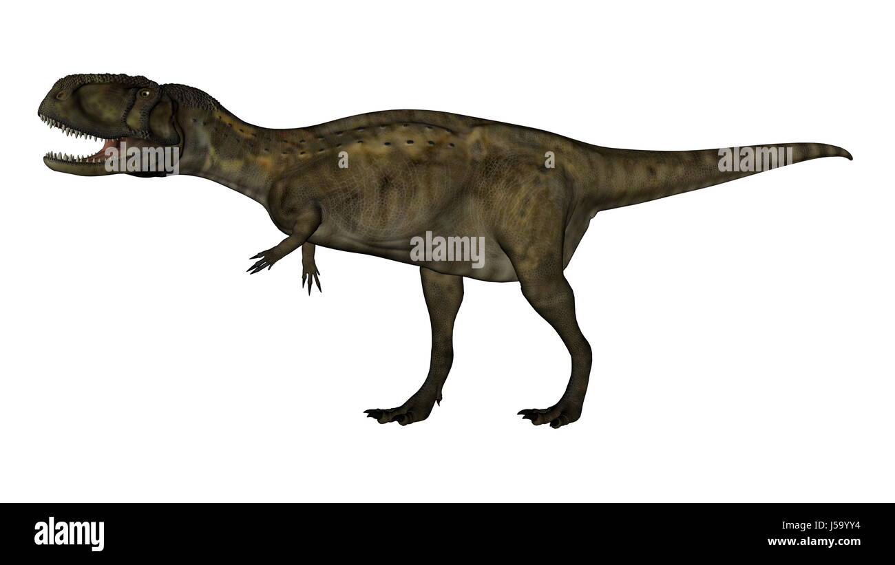 Abelosaurus la marche des dinosaures en isolé sur fond blanc - 3D ...