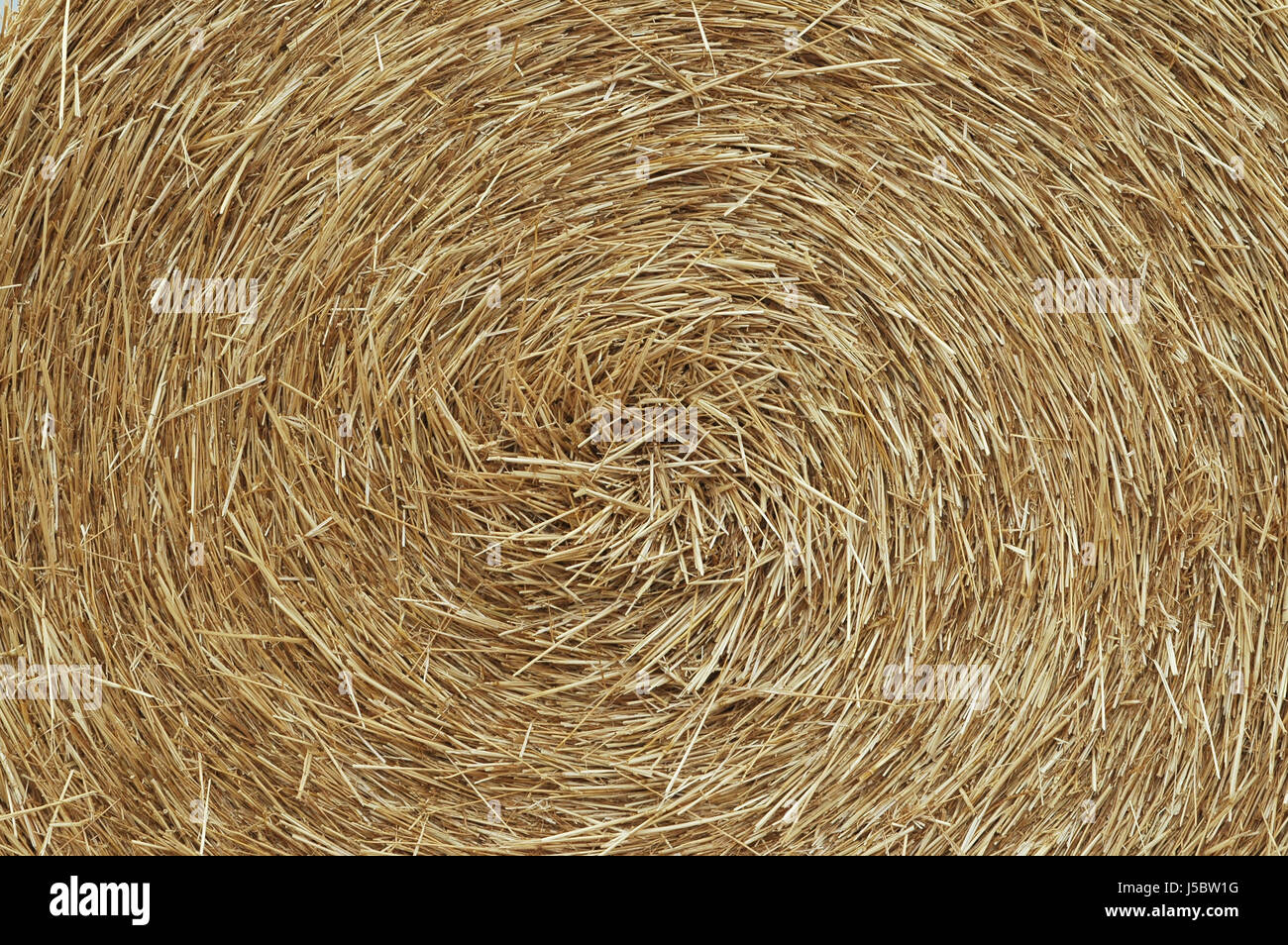 Hay bale figure Banque de photographies et d’images à haute résolution ...