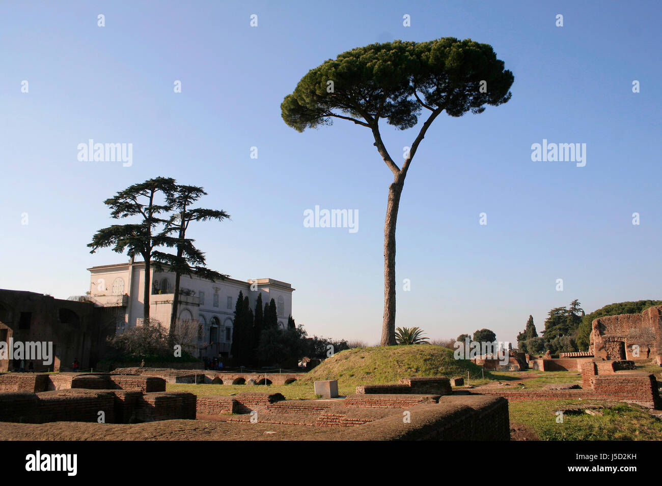 Arbre arbres mur visite Rome roma ruines ruine panneau stonewall ...