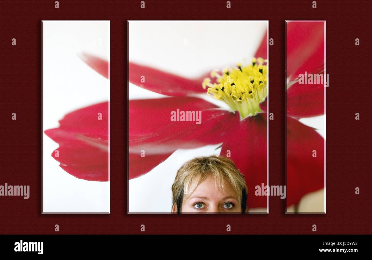 Impression sur toile Banque de photographies et d’images à haute ...