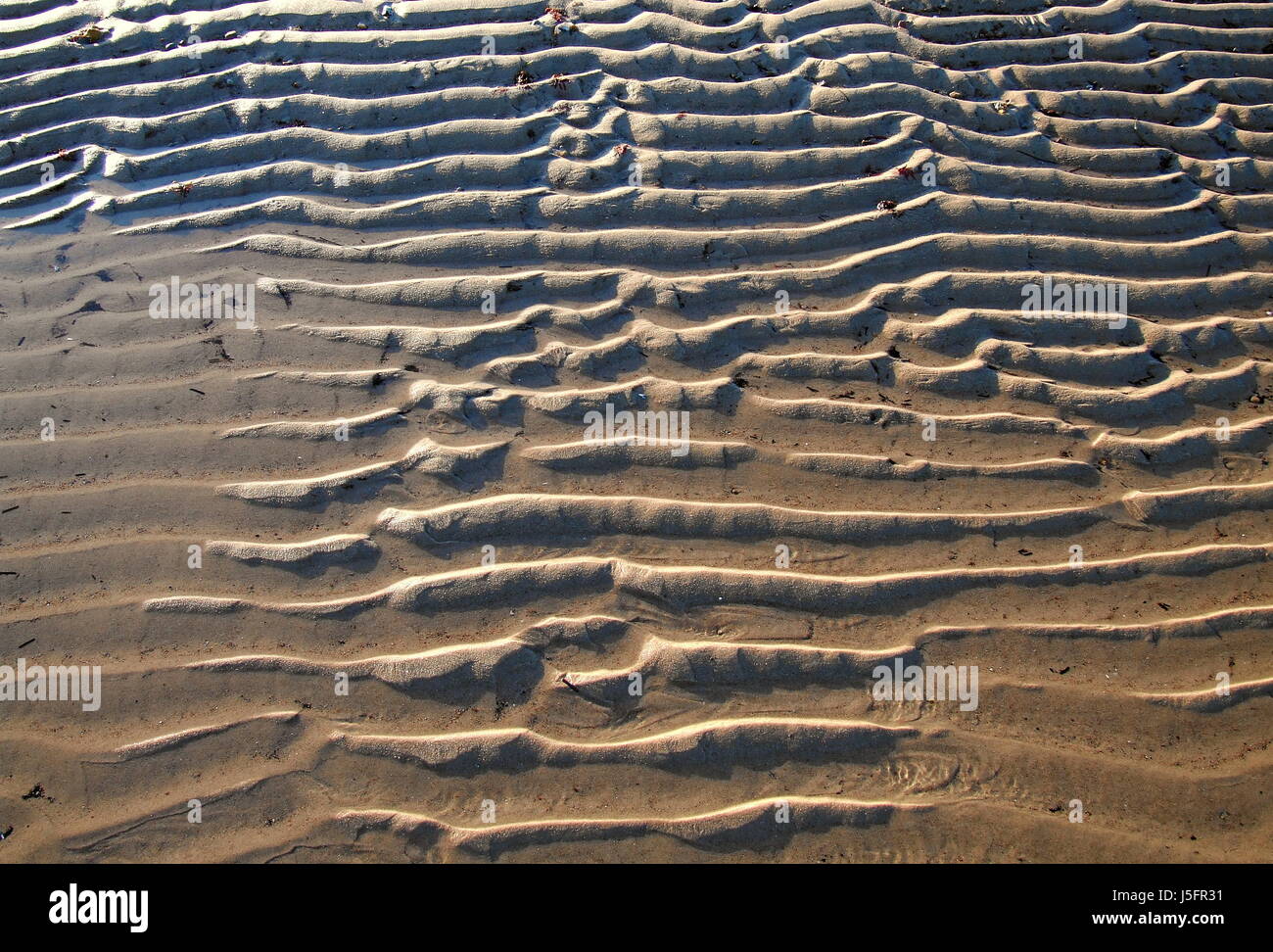 La plage de bord de plage de la côte de la mer de sable ondulé des ...