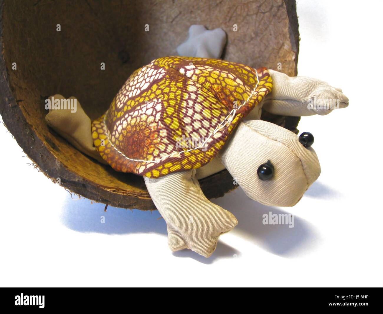 Mini turtle Banque de photographies et d’images à haute résolution - Alamy