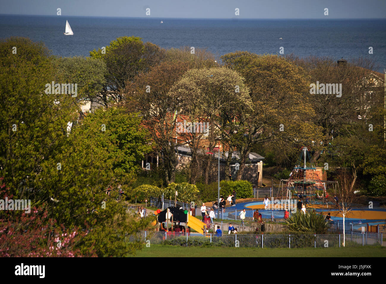 Parc marin du sud Banque de photographies et d’images à haute ...