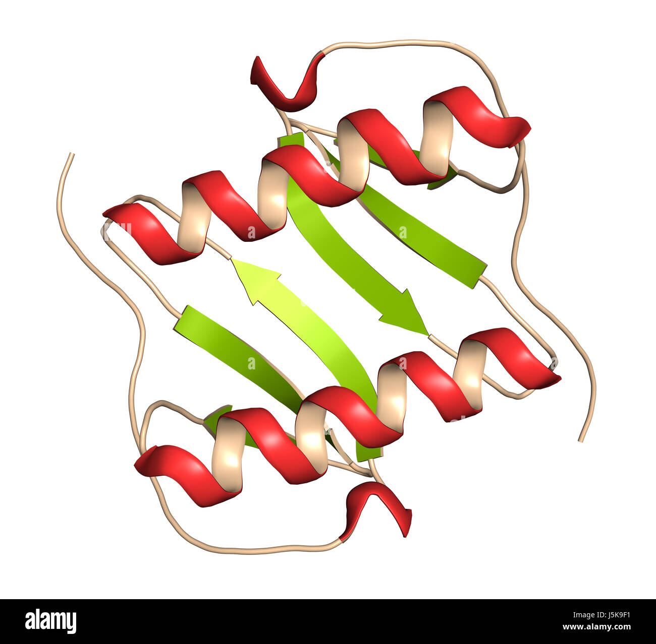 L'interleukine 8 (IL-8), protéine de cytokines. IL8 peuvent être ...