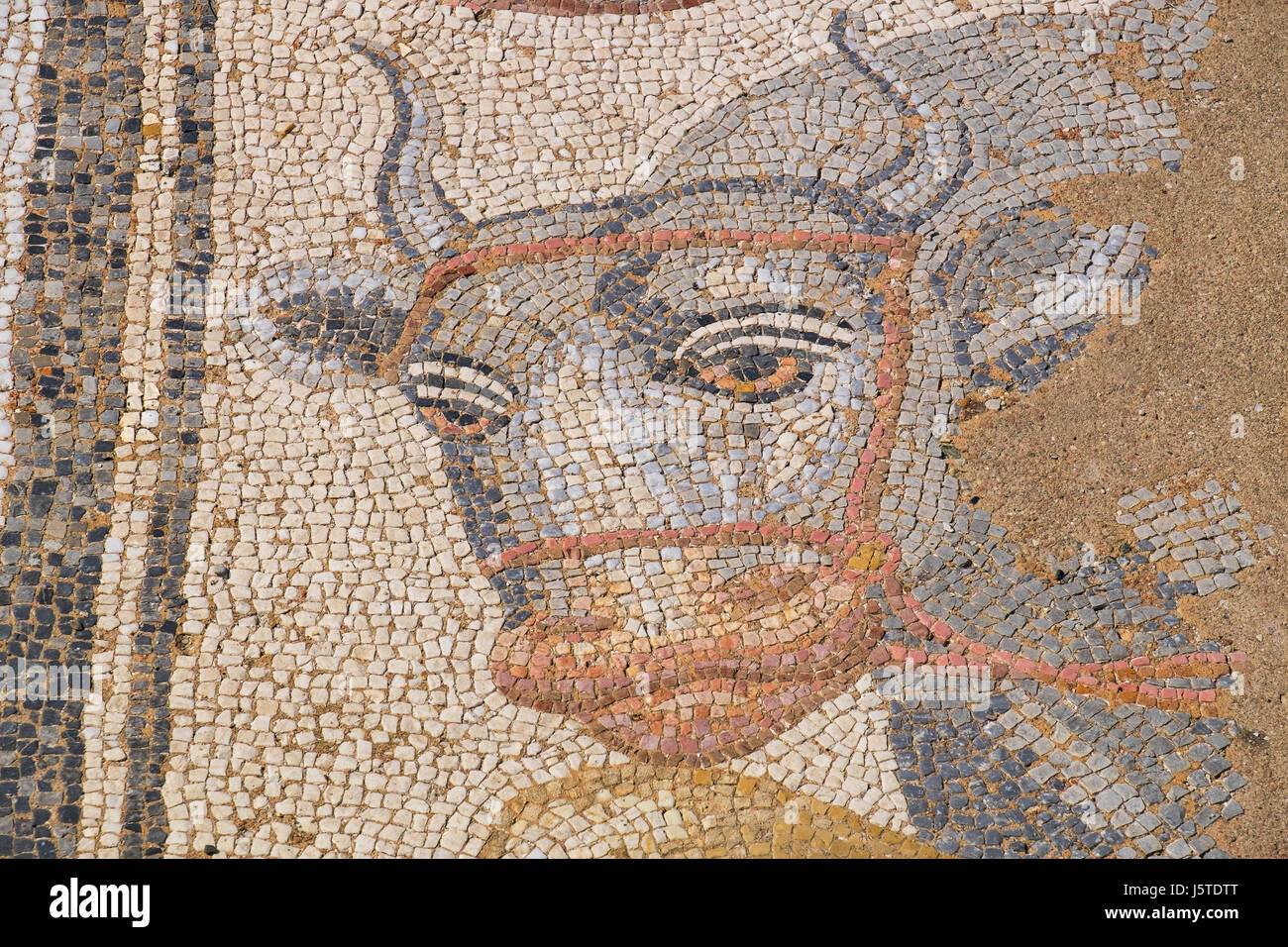 Fragment de mosaïque antique au Parc archéologique de Dion. Piérie ...