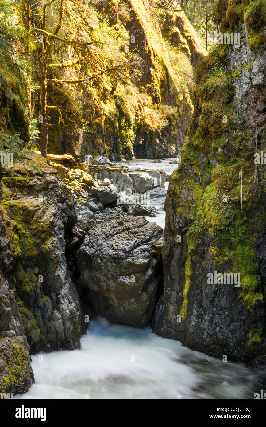 Englishman river falls provincial park Banque de photographies et d ...