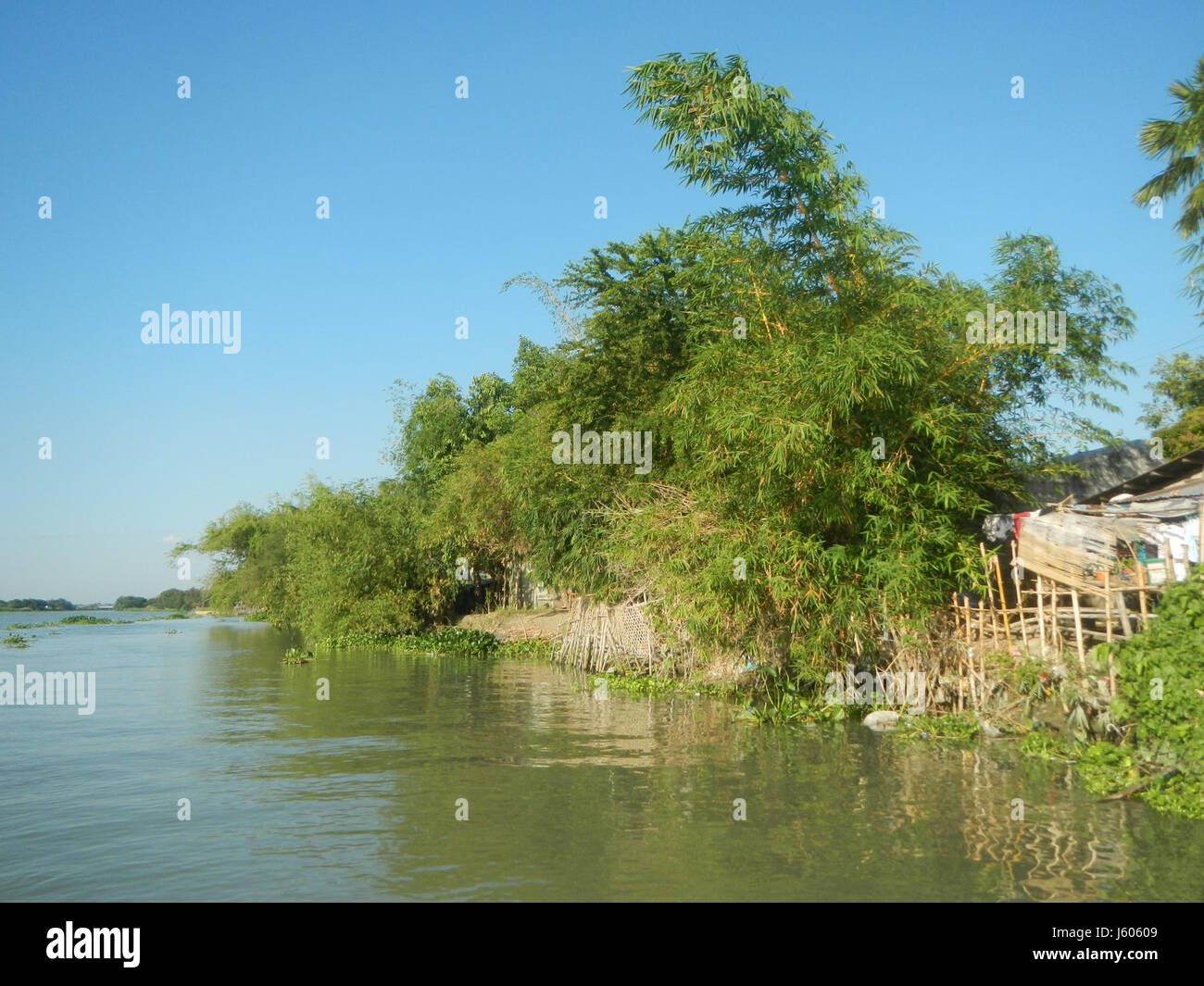 Il s'agit des berges de la région de Calumpit à Bulacan, aux ...