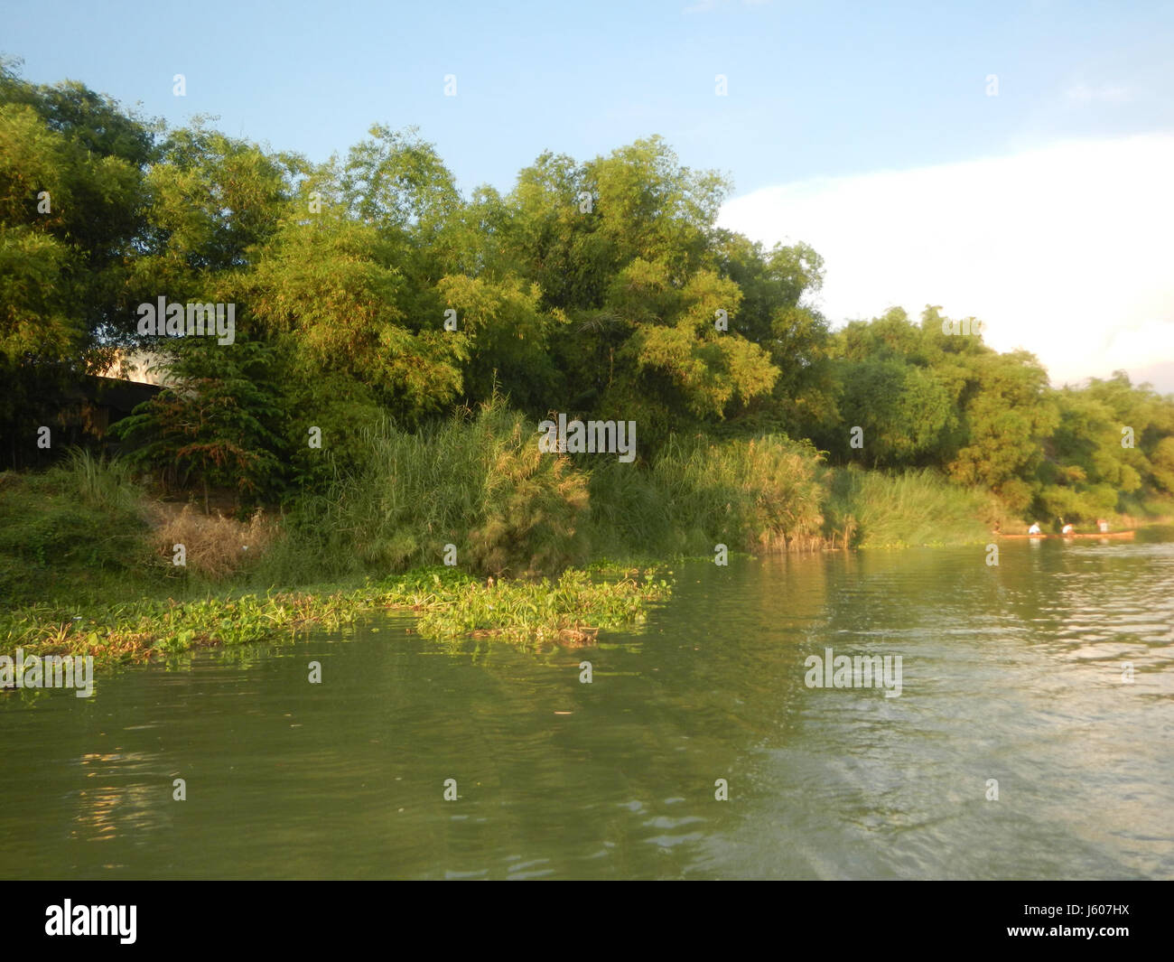 Cette image représente les districts fluviaux de San Juan, Santa Cruz ...