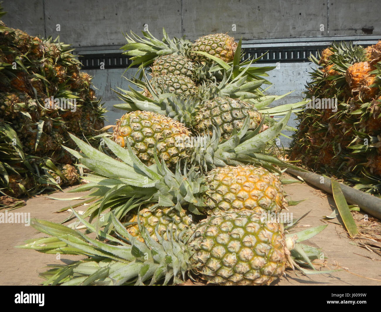 Reine des philippines Banque de photographies et d’images à haute ...