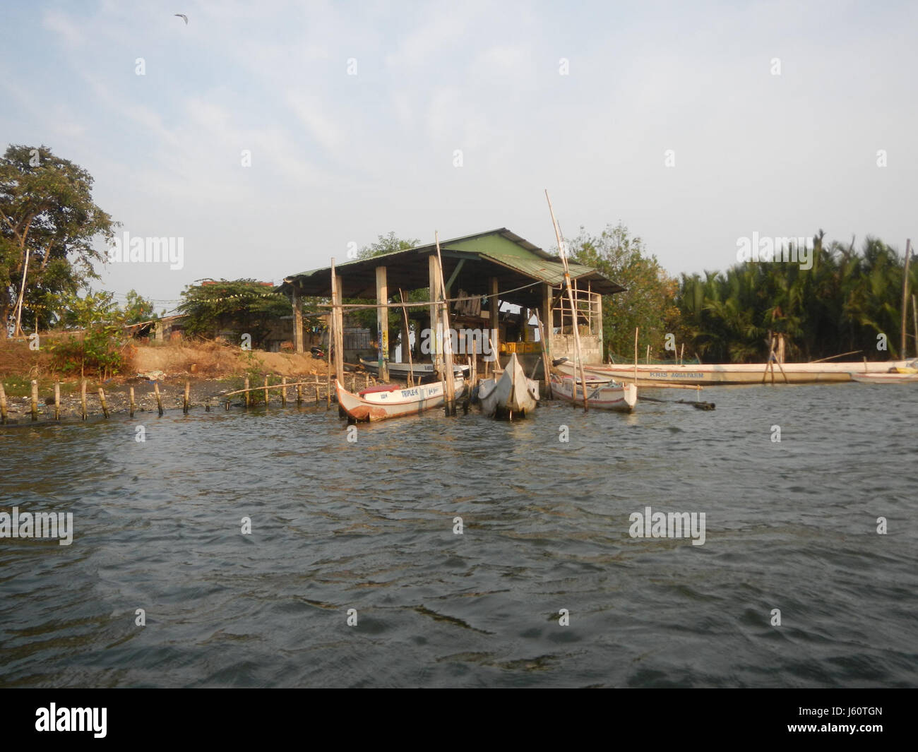 01094 Panasahan Les oiseaux de la rivière San Jose Malolos Bulacan 06 ...