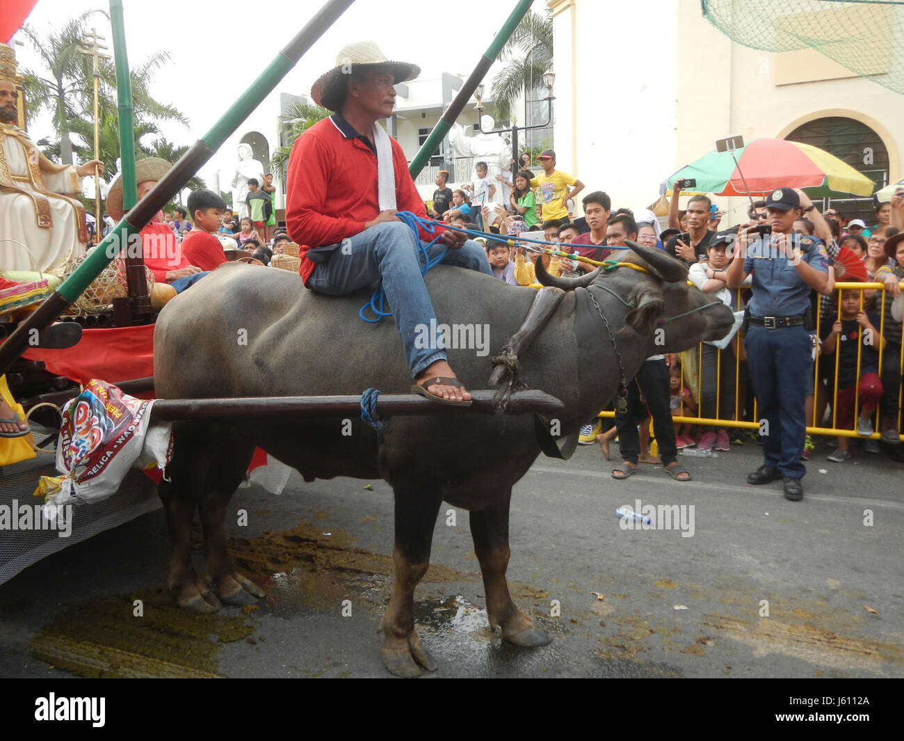 Le Carabao Kneeling Festival à Pulilan, Bulacan, célèbre la fête ...