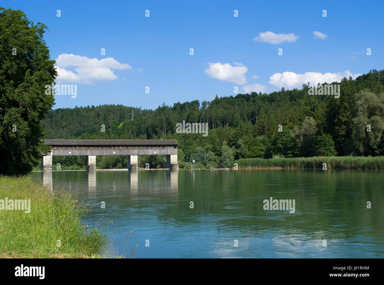 Weir trees Banque de photographies et d’images à haute résolution - Alamy