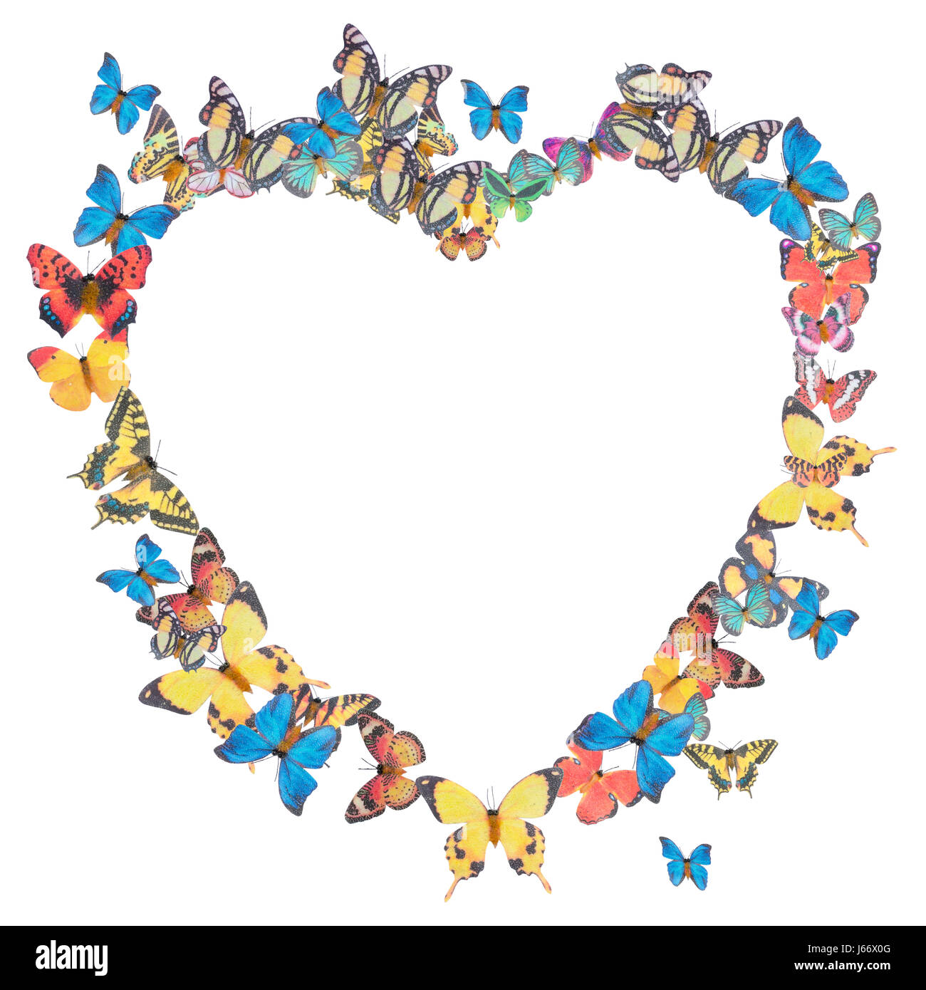 Coeur papillon Banque de photographies et d’images à haute résolution ...