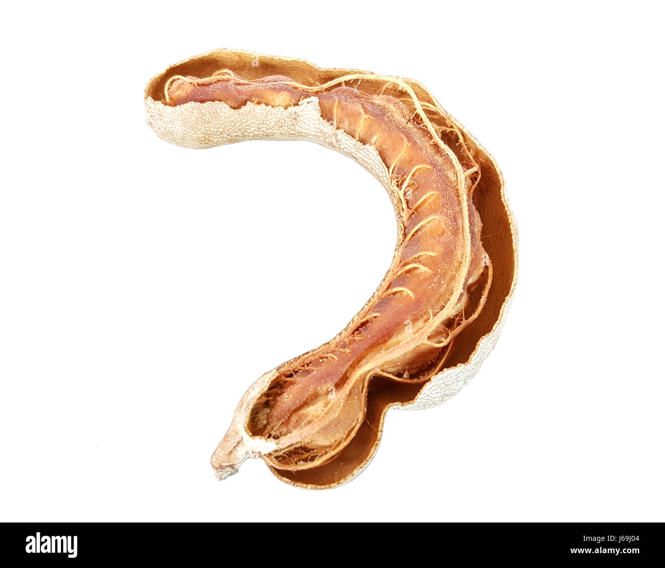 Le tamarin feuilles isolées sur fond blanc. Les feuilles de tamarin ...