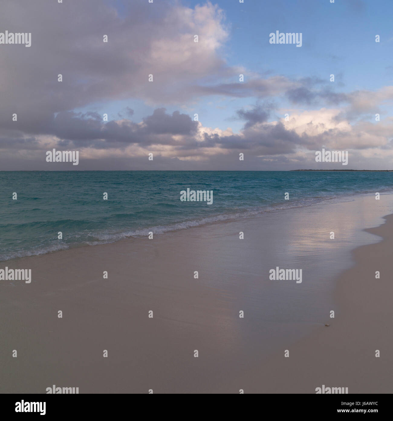 Horizon Beach La plage de bord de mer calme plage tropicale des océans ...