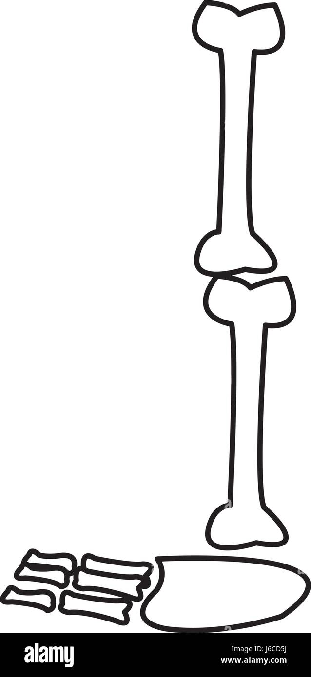 Cartoon jambe squelette partie comic Image Vectorielle Stock - Alamy