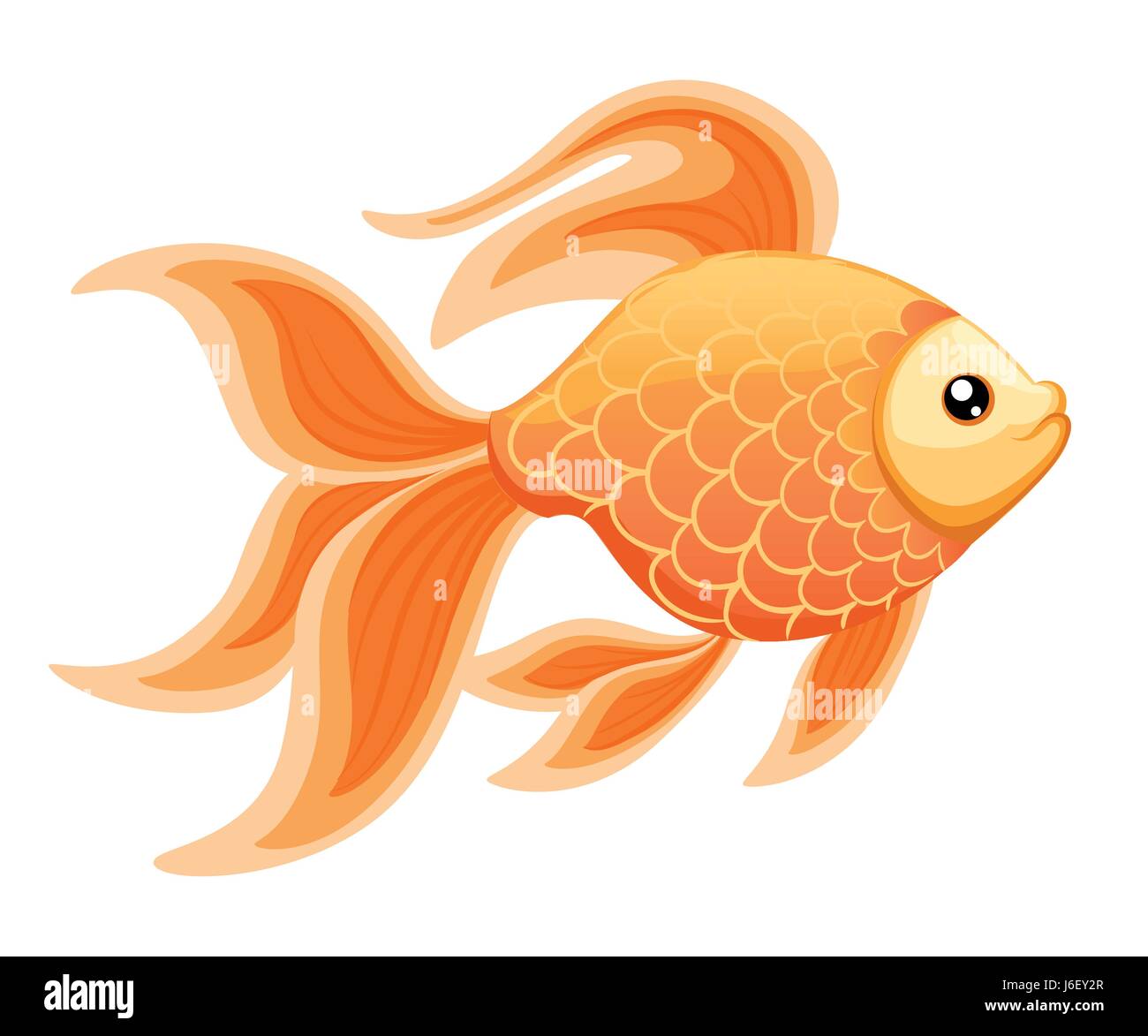 Goldfish illustration Banque d'images vectorielles - Alamy