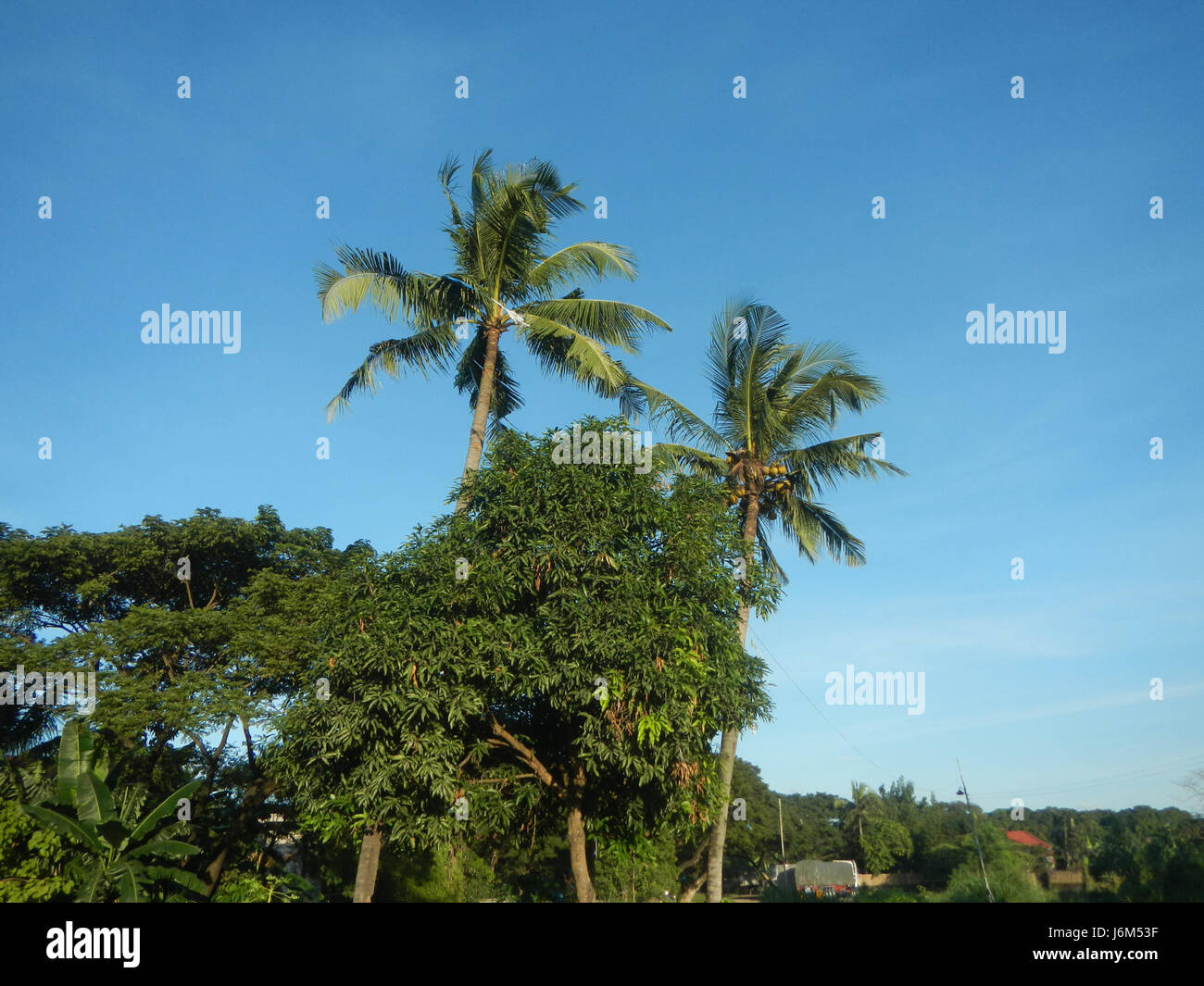 Wakas Bagumbayan Caingin à Taal, Bocaue, Bulacan, est un lieu d'intérêt ...