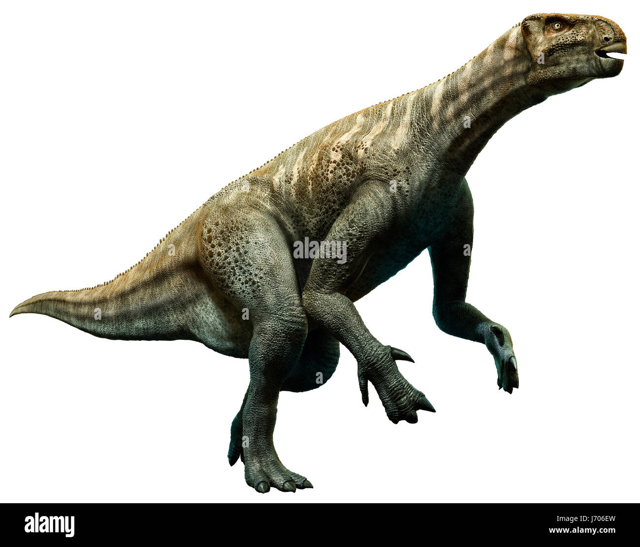 Dinosaur extinct iguanodon illustration Banque d'images détourées - Alamy