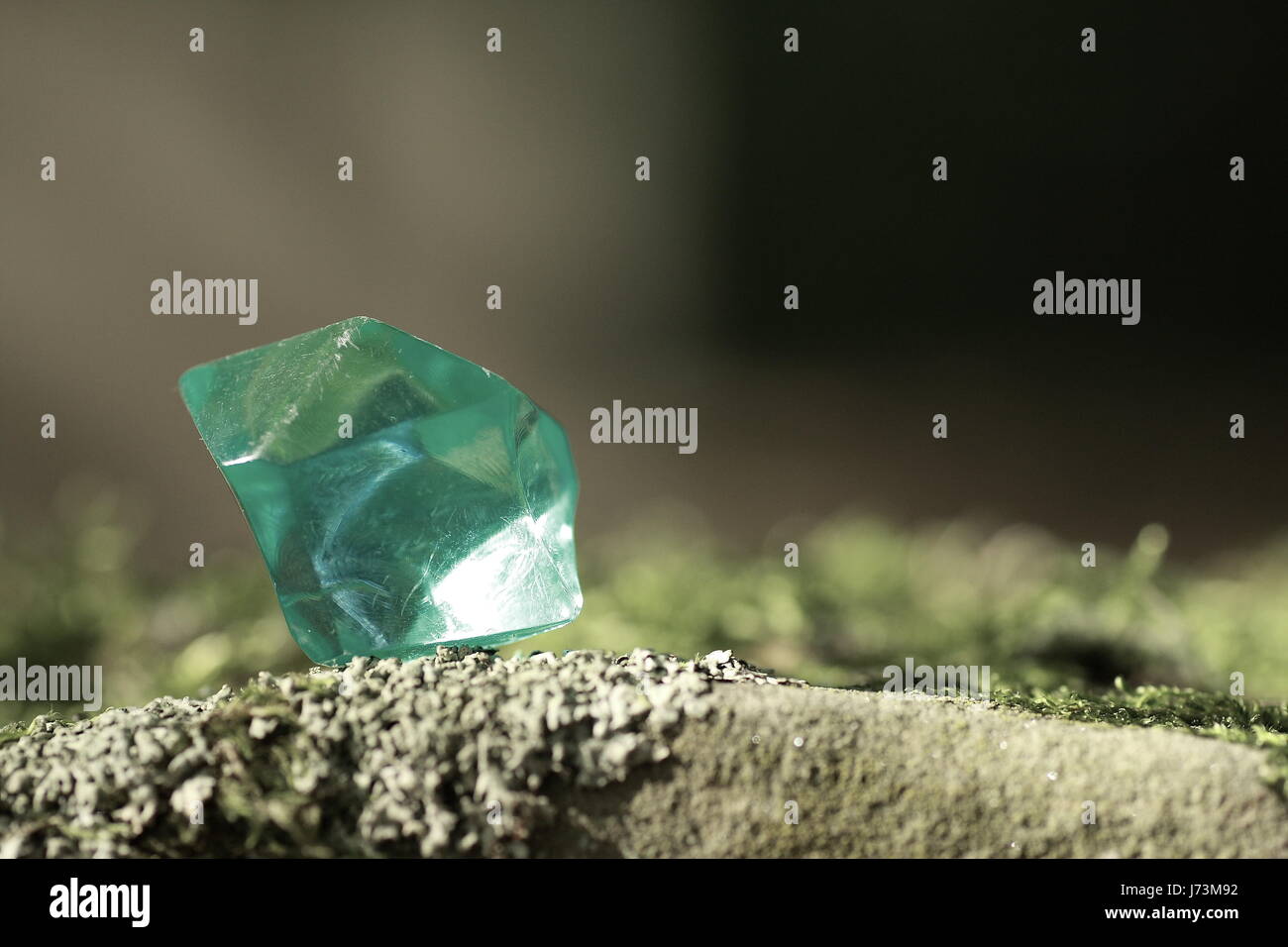 L'expérience de la feuille de mousse de la direction générale du ...