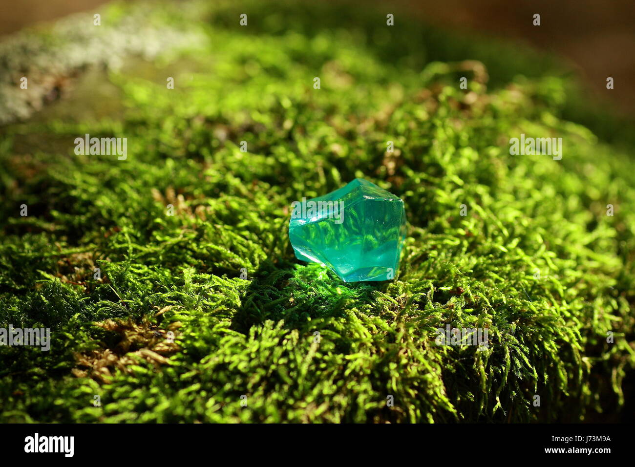 L'expérience de la feuille de mousse de la direction générale du ...