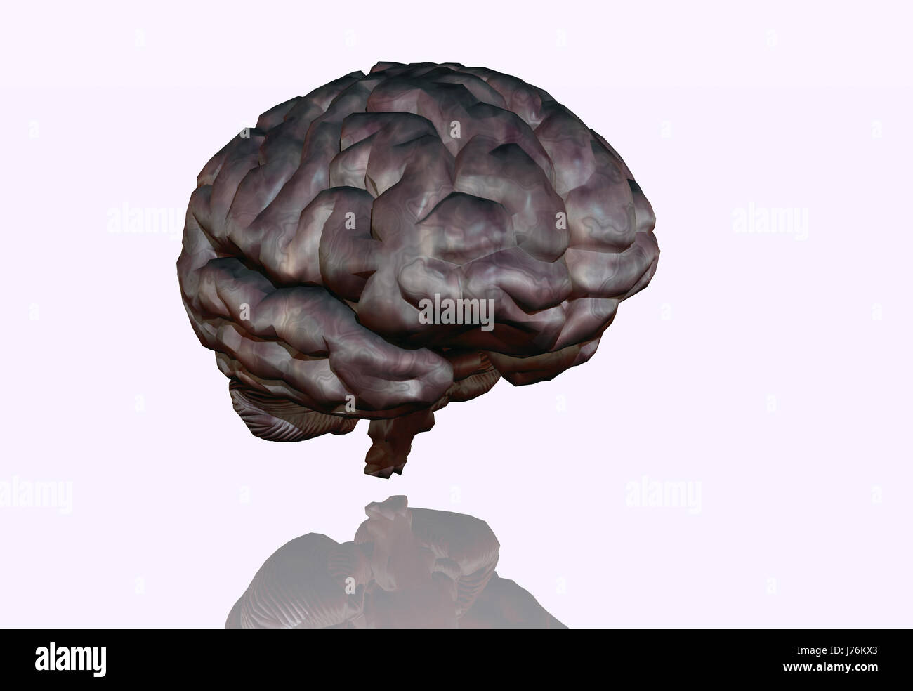 Illustration de la recherche en sciences du cerveau anatomie de l'être ...