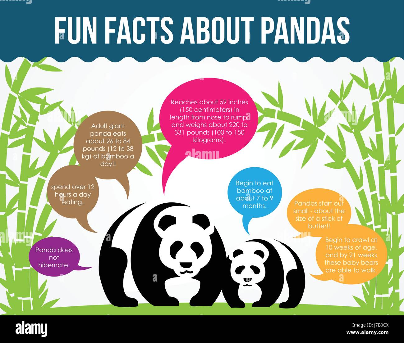Fun facts Banque d'images vectorielles - Alamy